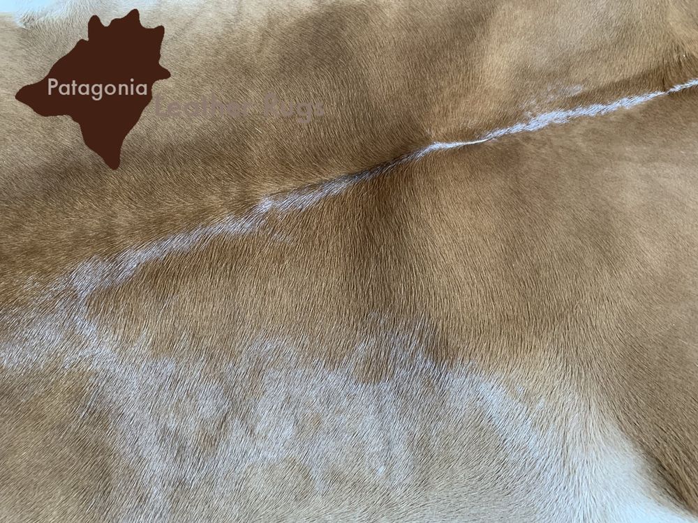 echtes Kalbfell beige (Neu und originalverpackt) in Arbedo für CHF 110 ...