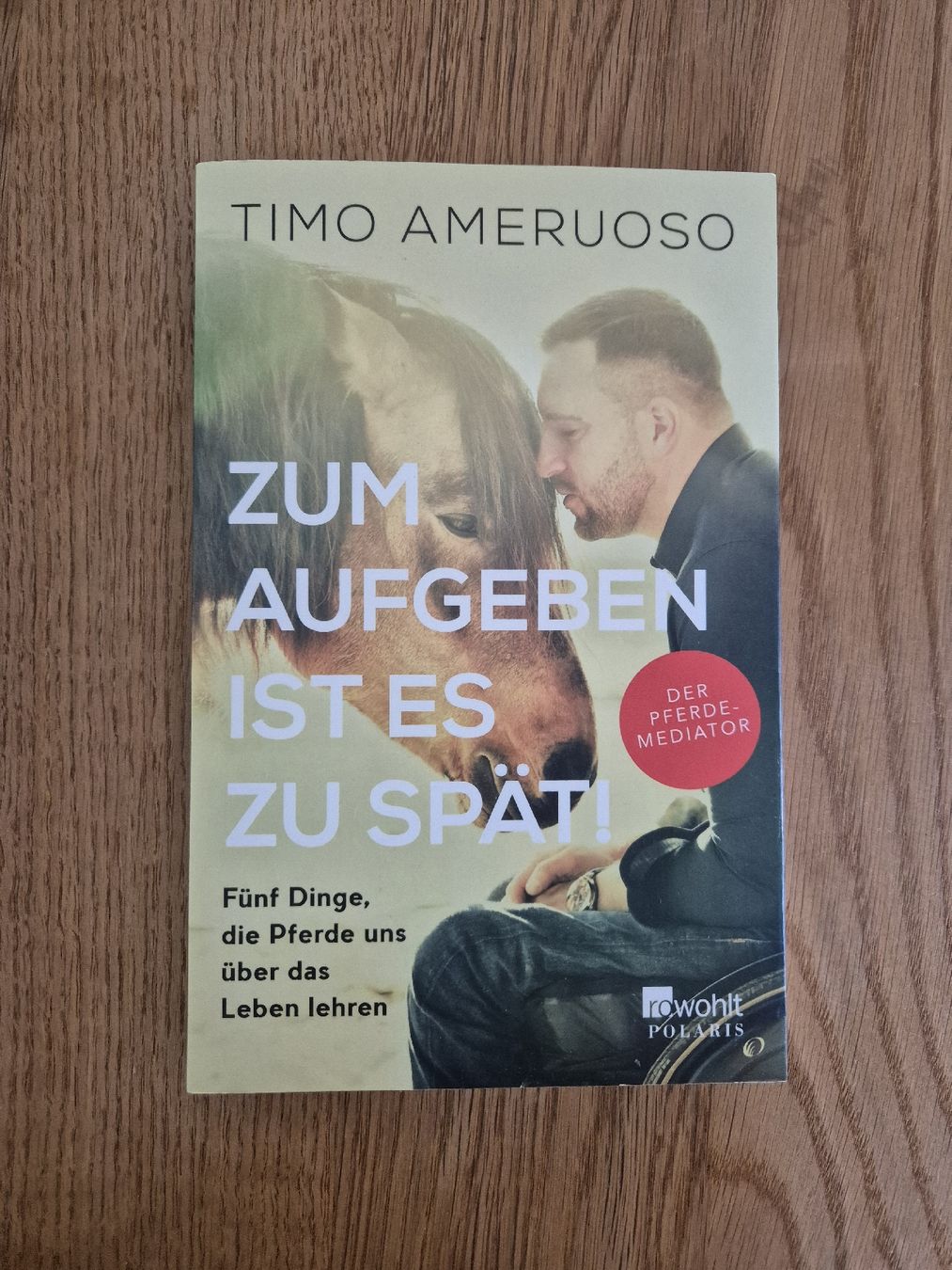 "Zum Aufgeben ist es zu spät!" -Timo Ameruoso (Gebraucht) in Goldach ...