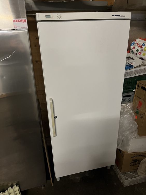 Gefrierschrank Liebherr Profi Line Gebraucht In Lengwil Für Chf 31 Nur Abholung Auf Ricardo