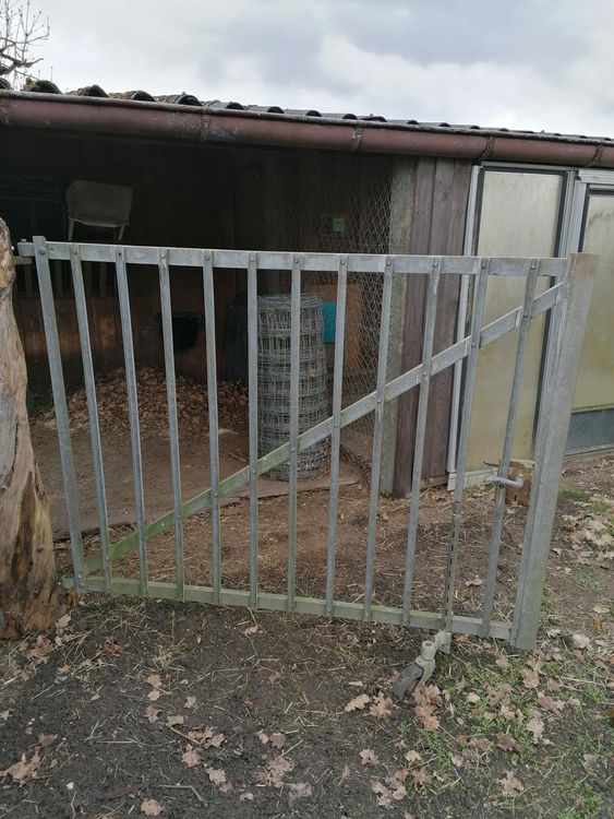 Eisentor, Tor, Gartentor (Gebraucht) in Arch für CHF 21 – nur Abholung auf Ricardo kaufen