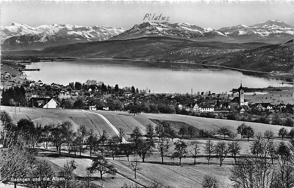 Seengen AG Flugaufnahme Nr.9728r , 1944 (Gebraucht) in Solothurn für ...