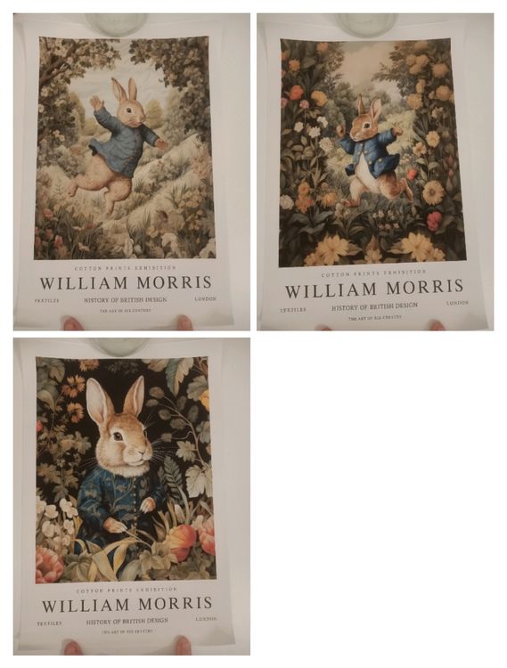 3 Posters William Morris pierre lapin Beatrix Potter (Neu (gemäss ...