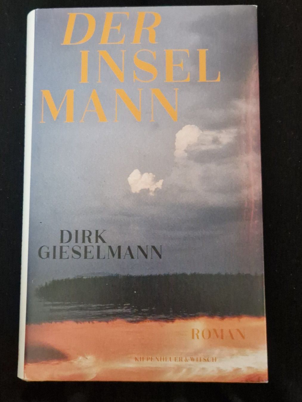 Dirk Gieselmann: Der Inselmann Roman (Gebraucht) in Neuhausen am ...