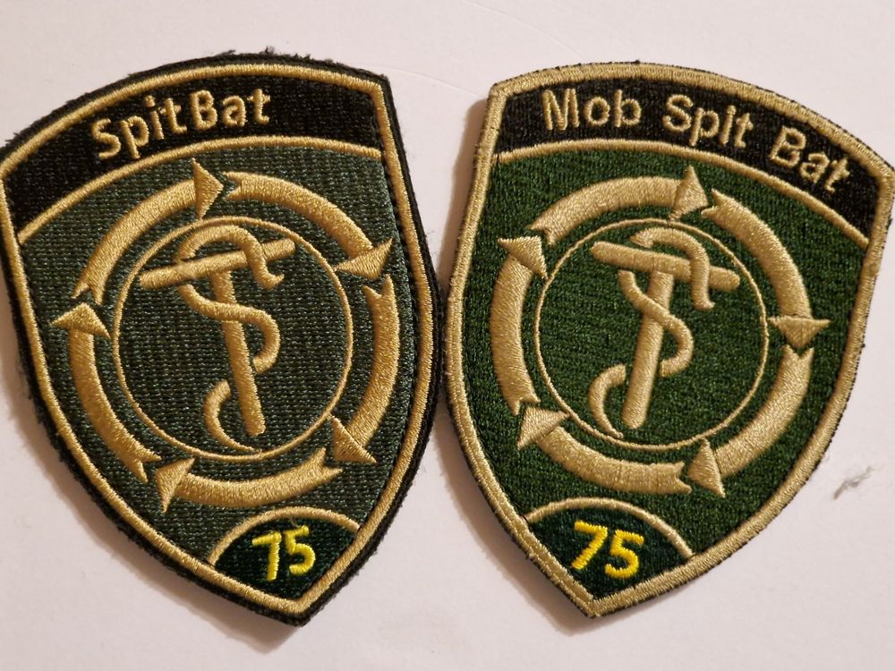 San Abzeichen Spital Bat 75 und Mob Spit Bat 75 Stabskp Klet (Neu ...