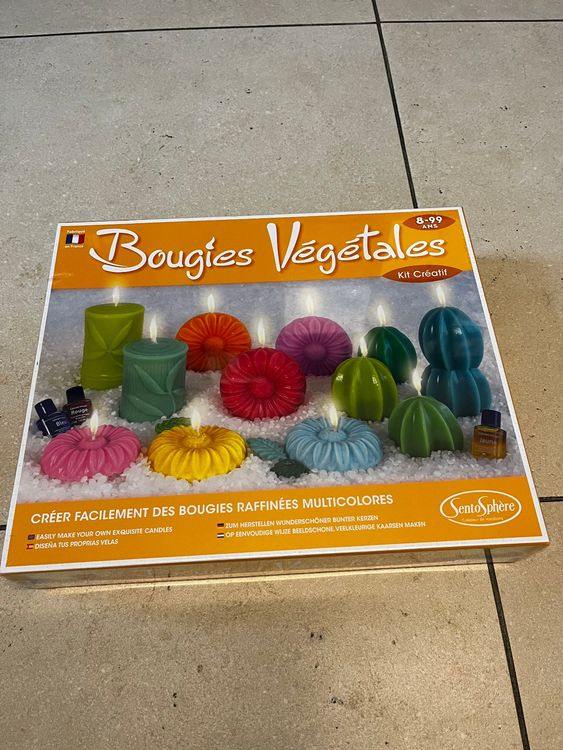 Bastelset Pflanzliche Duftkerzen/Bougies Végétales (Neu und ...