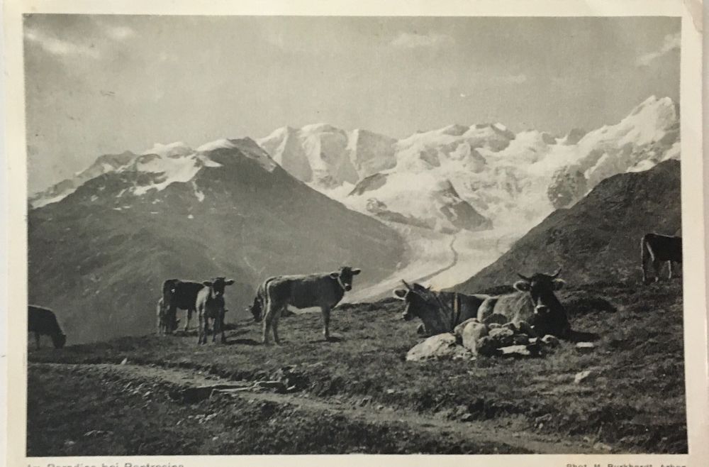 Max Burckhardt, Pontresina, Landwirtschaft, 1933 | Kaufen auf Ricardo