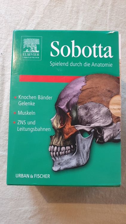 Lernkarten Sobotta Anatomie | Comprare su Ricardo