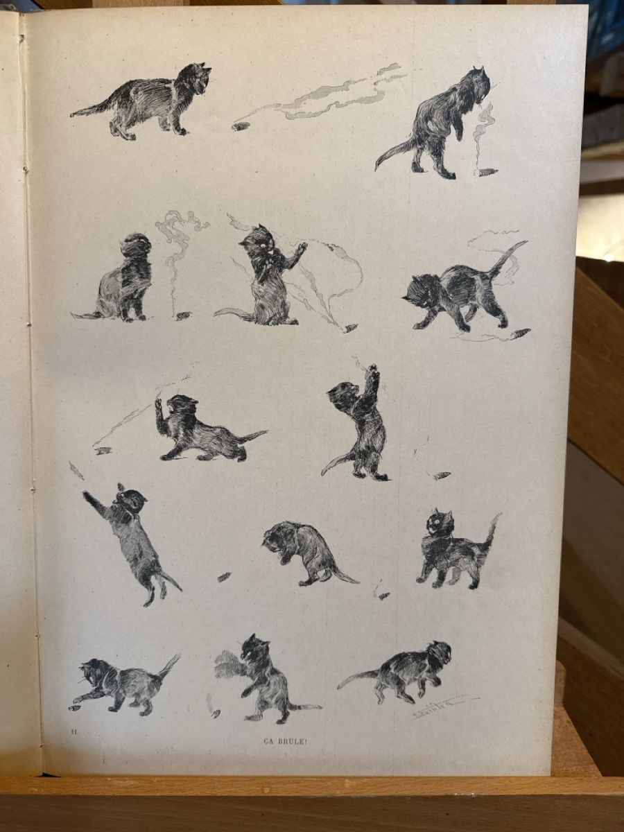 Steinlen planches histoires de chats dessins livre malicieux (D ...