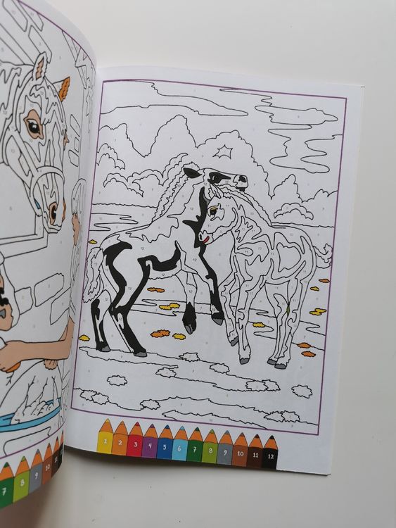 Malbuch Malen nach Zahlen (Neu (gemäss Beschreibung)) in Schinznach Dorf für CHF 0.5 – mit ...