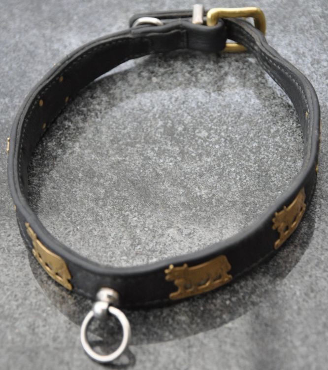 Hundehalsband, Appenzeller, sehr guter Zustand, Länge 42 cm | Kaufen auf Ricardo