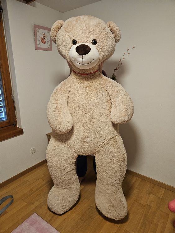 Riesen Teddybär | Kaufen auf Ricardo