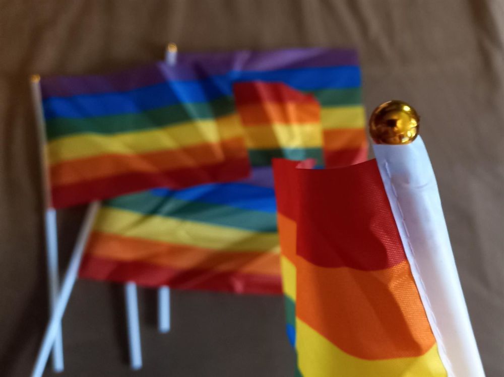 100x Mini LGBT Flaggen mit Stange - Mini drapeaux LGBT | Kaufen auf Ricardo