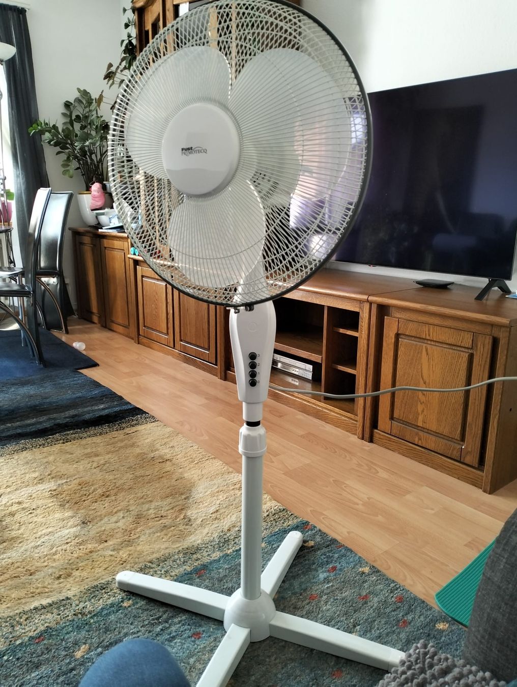 Standventilator Fust Primotecq für heisse Tage! (Gebraucht) in Bern für ...