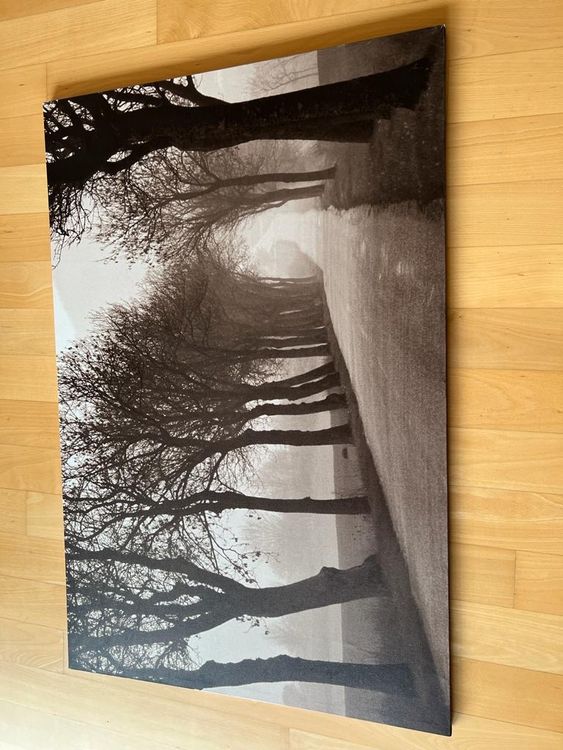 Leinwand Bild „Misty Road“ (Ikea) | Kaufen auf Ricardo