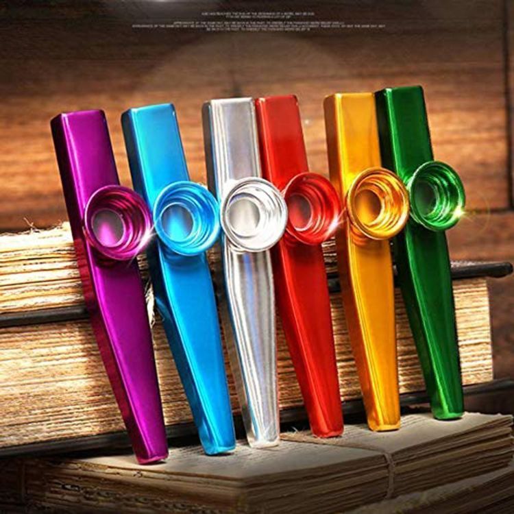 6 Stück Metall Kazoo Musik Instrument | Kaufen auf Ricardo