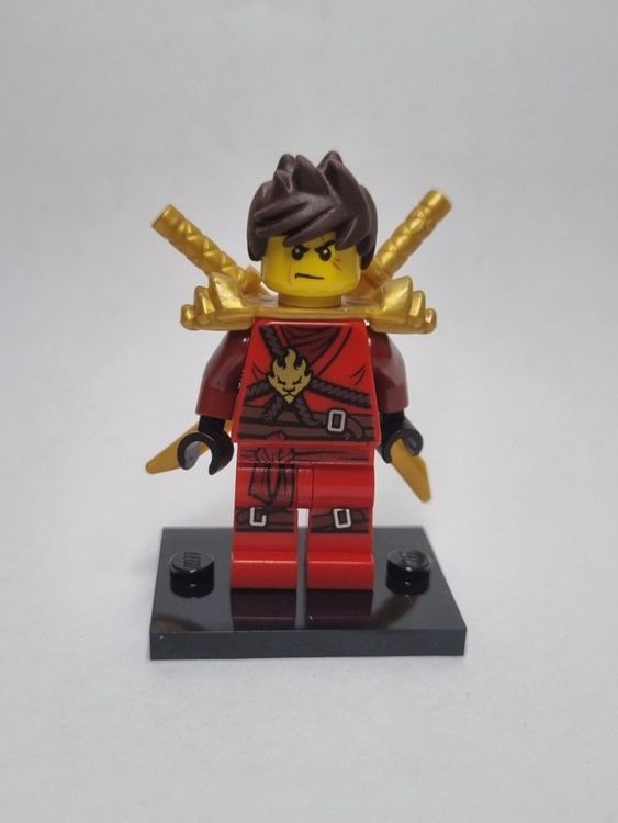 LEGO Ninjago njo305 Kai (Honor Robe) - Day of the Departed | Kaufen auf ...