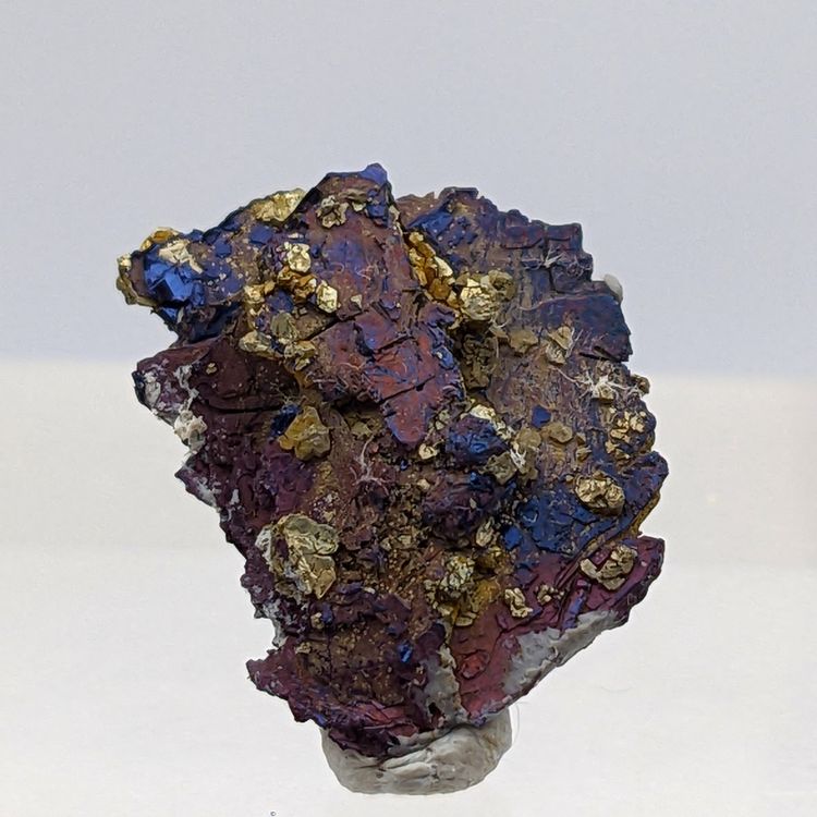 COVELLIT mit PYRIT, Eines der seltensten Mineralien der Welt (Nuovo ...