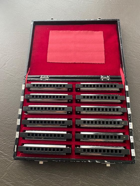 Blues Harp Set (harleyBenton) (Usato) a Payerne per CHF 41 – con ...