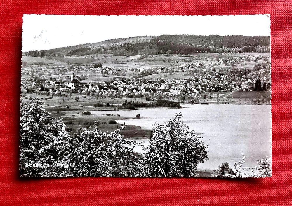 Seengen - Dorfansicht mit Hallwilersee - 1952 (Gebraucht) in Rothrist für CHF 12 – mit Lieferung ...