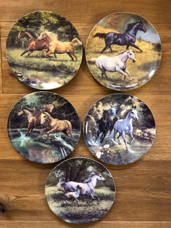 5 Sammelteller Pferde in freier Natur | Kaufen auf Ricardo