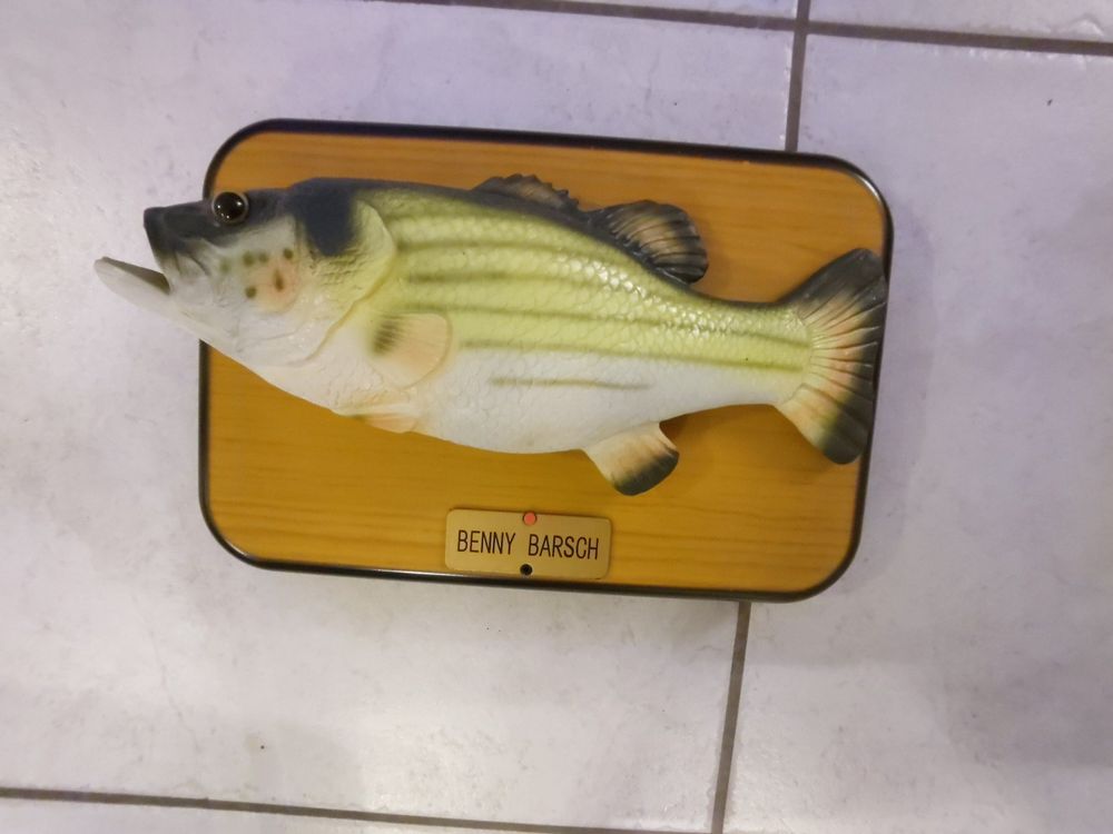 Benny Barsch singender Fisch (Gebraucht) in Münchenwiler für CHF 5 ...