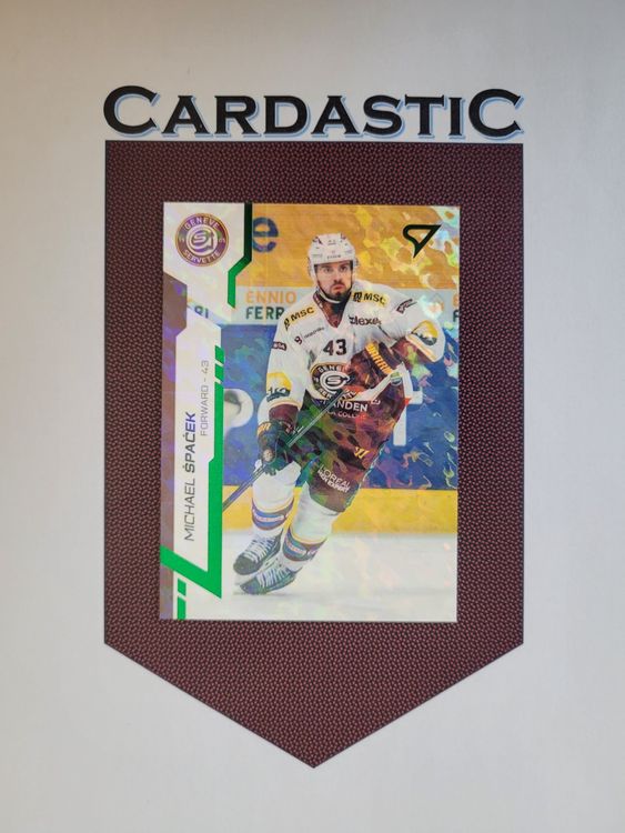 Michael Spacek 2024-25 NL Sportzoo Green Servette Geneve (Gebraucht) in ...