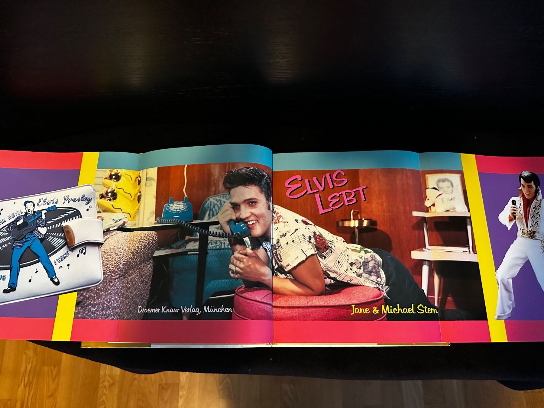 Elvis Lebt! Buch von Jane & Michael Stern, Rarität! (Gebraucht) in ...
