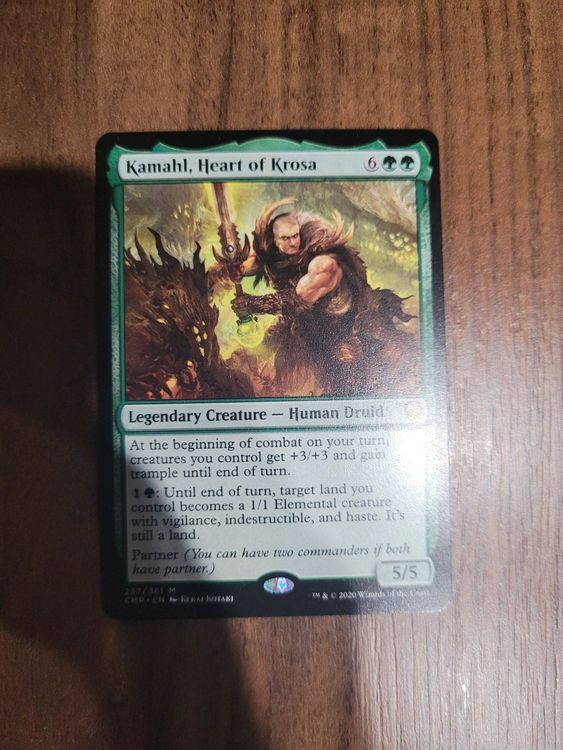 MTG: Kamahl, Heart of Krosa | Kaufen auf Ricardo