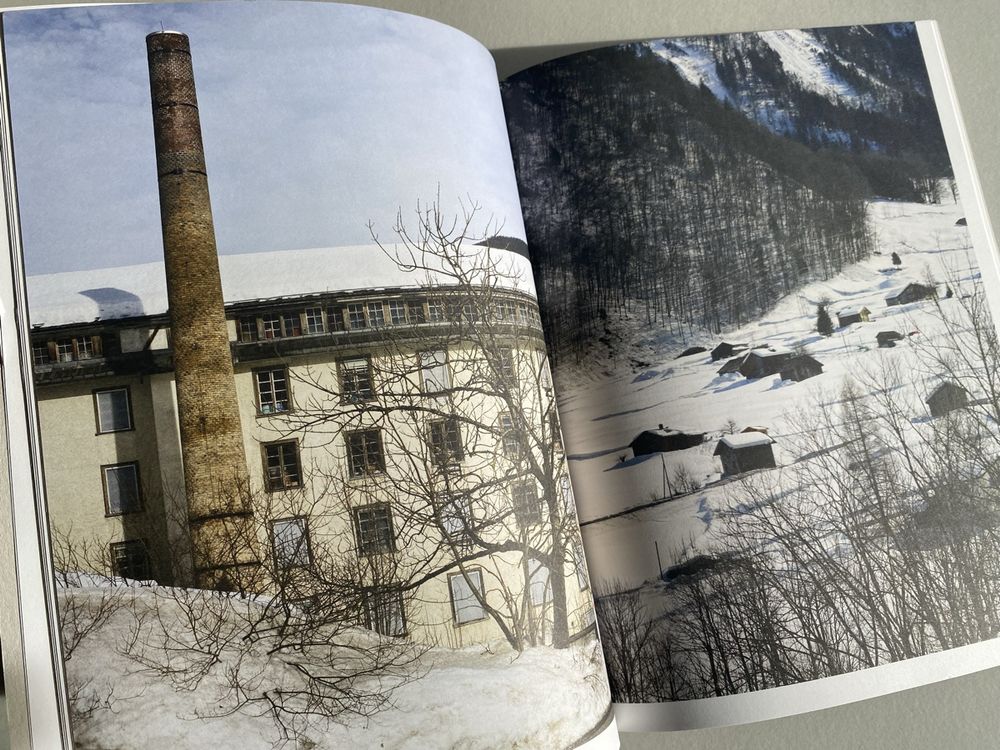 Swiss Alps Book: Berg & Tal - Alp und Stall - Rare! Architec (Gebraucht ...