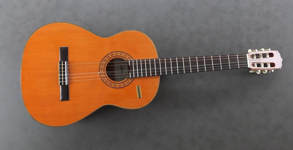 Gitarre | Kaufen auf Ricardo