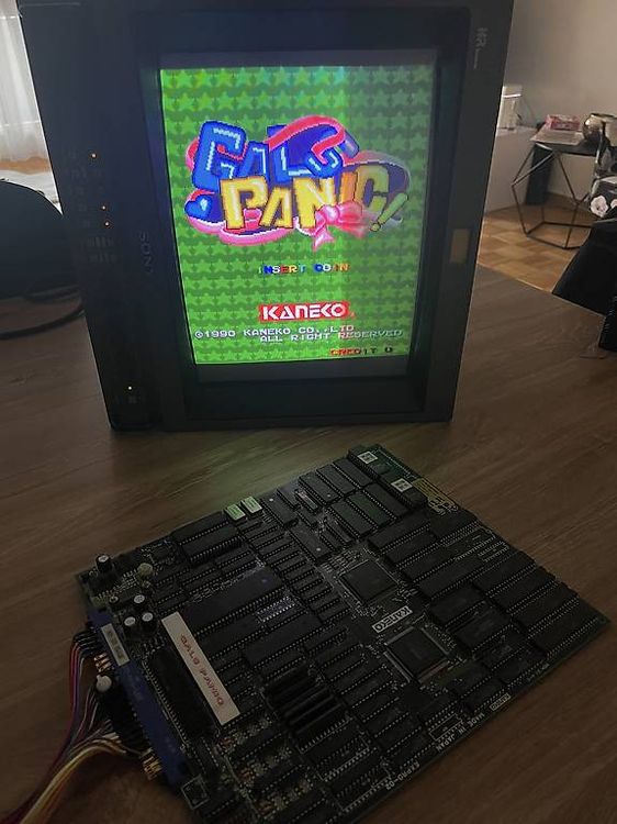 Gals Panic pcb arcade jamma (Gebraucht) in Lutry für CHF 100 – mit ...