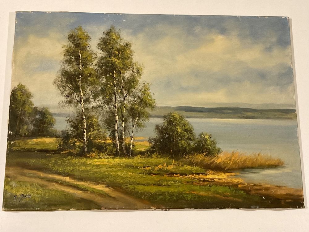 E. Janin Landschaftsgemälde signiert Partie am Zürichsee (Gebraucht) in ...