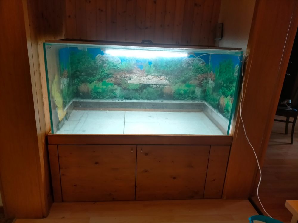 Aquarium komplett | Kaufen auf Ricardo