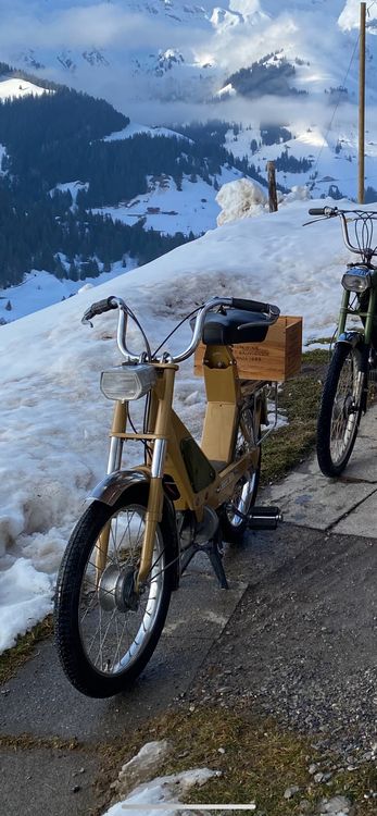 Solex 6000 | Kaufen auf Ricardo