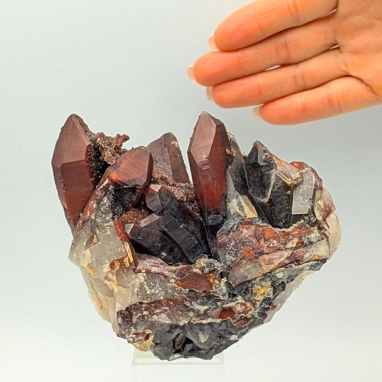 Großer HÄMATIN-QUARZ BLUTROT mit CHALCEDON, naturbelassen (Neu (gemäss Beschreibung)) in Balerna ...