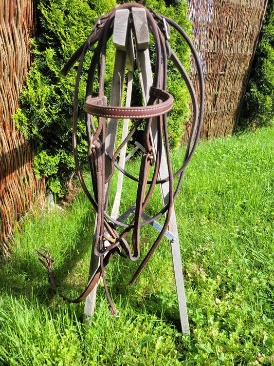 Weaver Western Zaum inkl. Zügel Full | Kaufen auf Ricardo