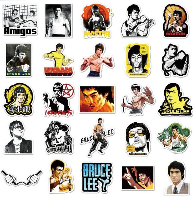 50 tlg Stickerset Bruce Lee Karate Kung Fu Film DVD Boxen (Neu und originalverpackt) in ...
