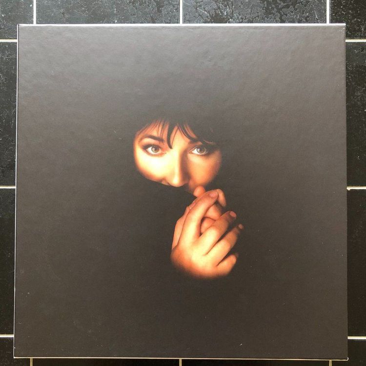 Kate Bush 4 x Vinyl - Remastered Box 4 (Neu (gemäss Beschreibung)) in ...