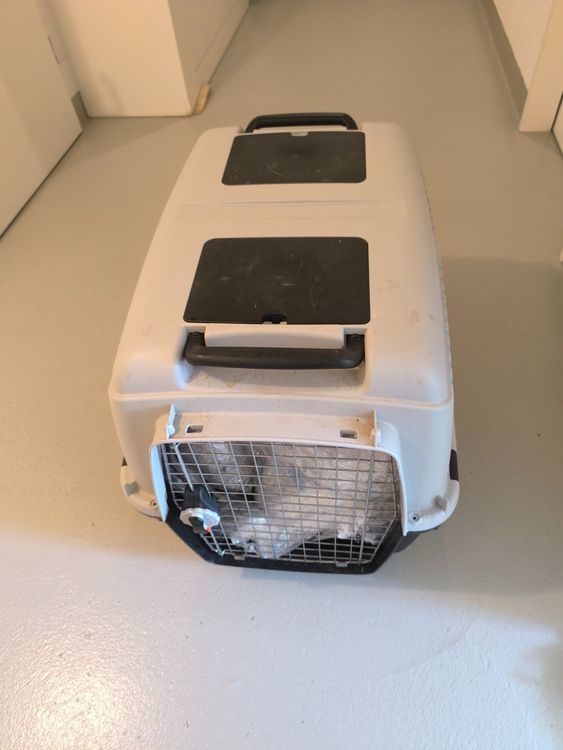 Transportbox Hund / Bracco Travel / IATA | Kaufen auf Ricardo