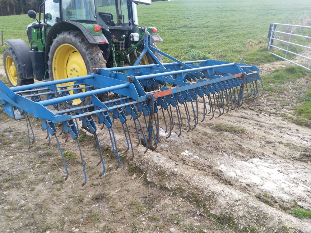 Striegel | Kaufen auf Ricardo