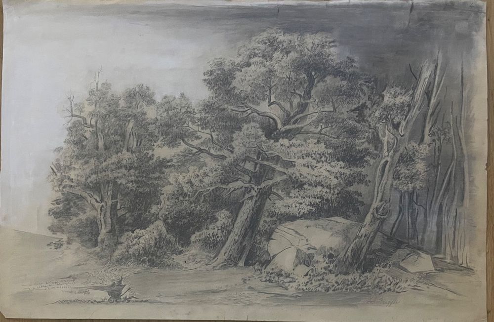 Antike Landschafts Zeichnung Unl Sig | Kaufen auf Ricardo