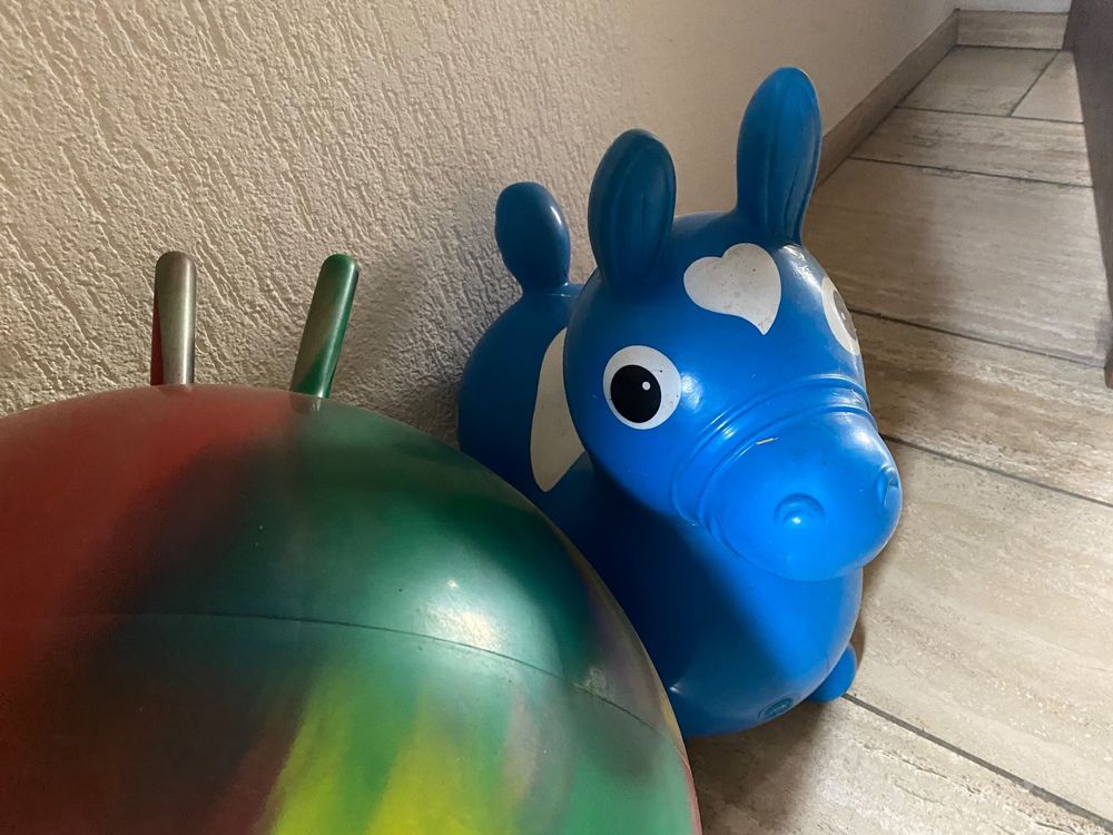 Hüpftier Rody, Hüpfball, Hüpfpferdchen (Gebraucht) in Hauenstein für ...
