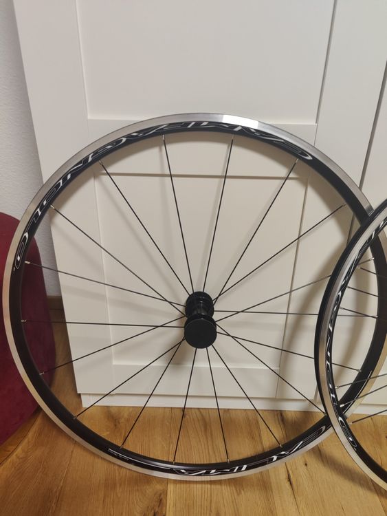 Neue 0km Campagnolo Calima 28zoll Clincher | Kaufen auf Ricardo