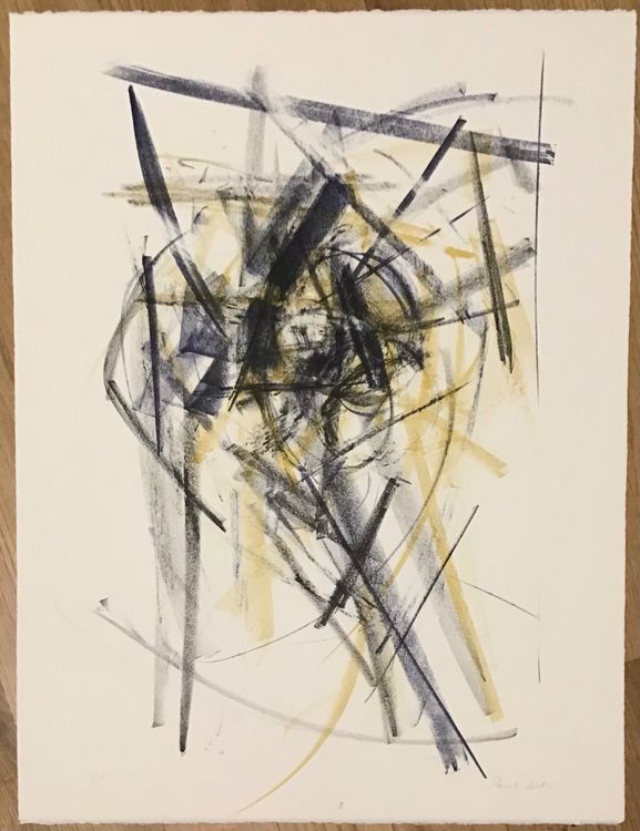Paul SUTER (1926-2009) Sehr Seltener Lithographie Handsignie (Gebraucht ...