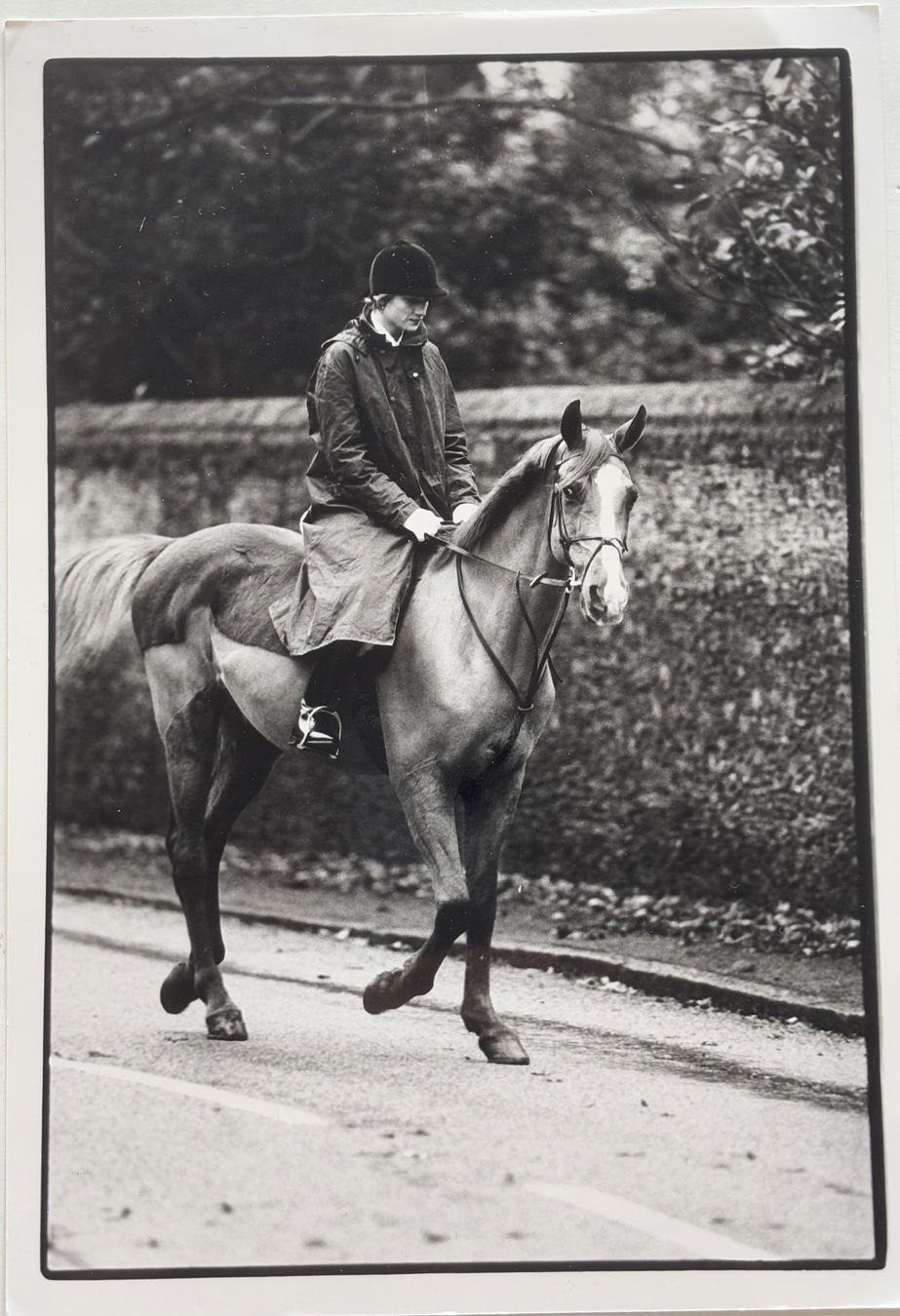 Princess Diana, Lady Di auf Pferd - by Julian Parker, GAMMA (Gebraucht) in Frauenfeld für CHF 49 ...