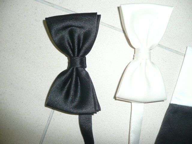 2 neue Papillon und 1 Pochette | Kaufen auf Ricardo