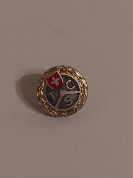 Pin TCS | Kaufen auf Ricardo