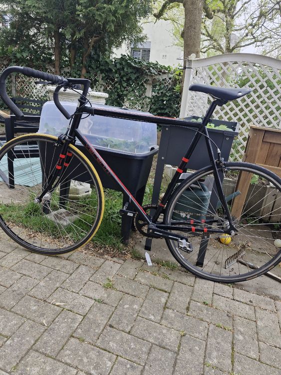 Fixie Singlespeed Fahrrad Retro Look Top Zustand! Verneti | Kaufen auf ...