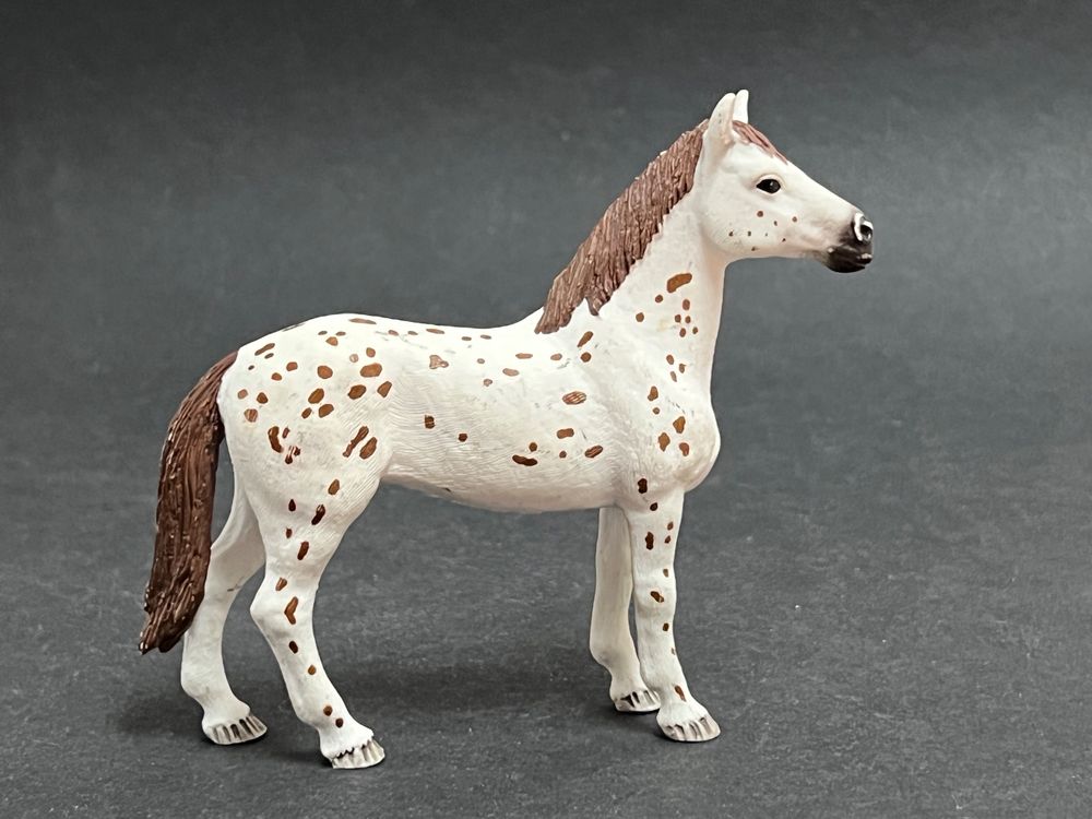 Schleich Appaloosa Hengst Sonderbemalung Pferd (Gebraucht) in Ennetbaden für CHF 10 – mit ...