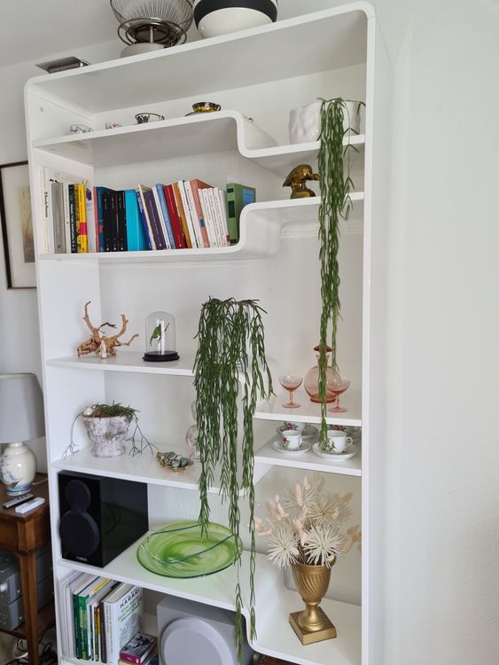 Bibliothek | Kaufen auf Ricardo